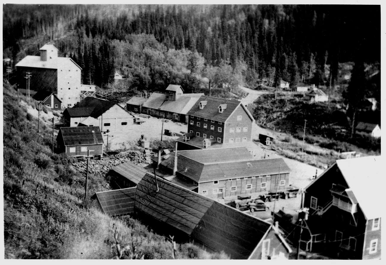 History and Timeline | Cariboo Gold Project